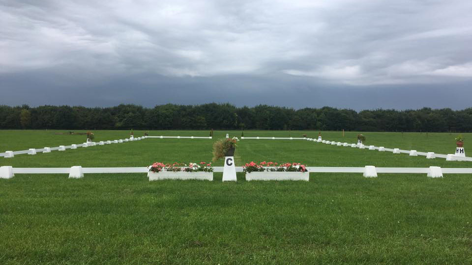 Camps & Clinics - Rectory Farm