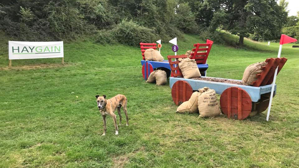 Camps & Clinics - Rectory Farm