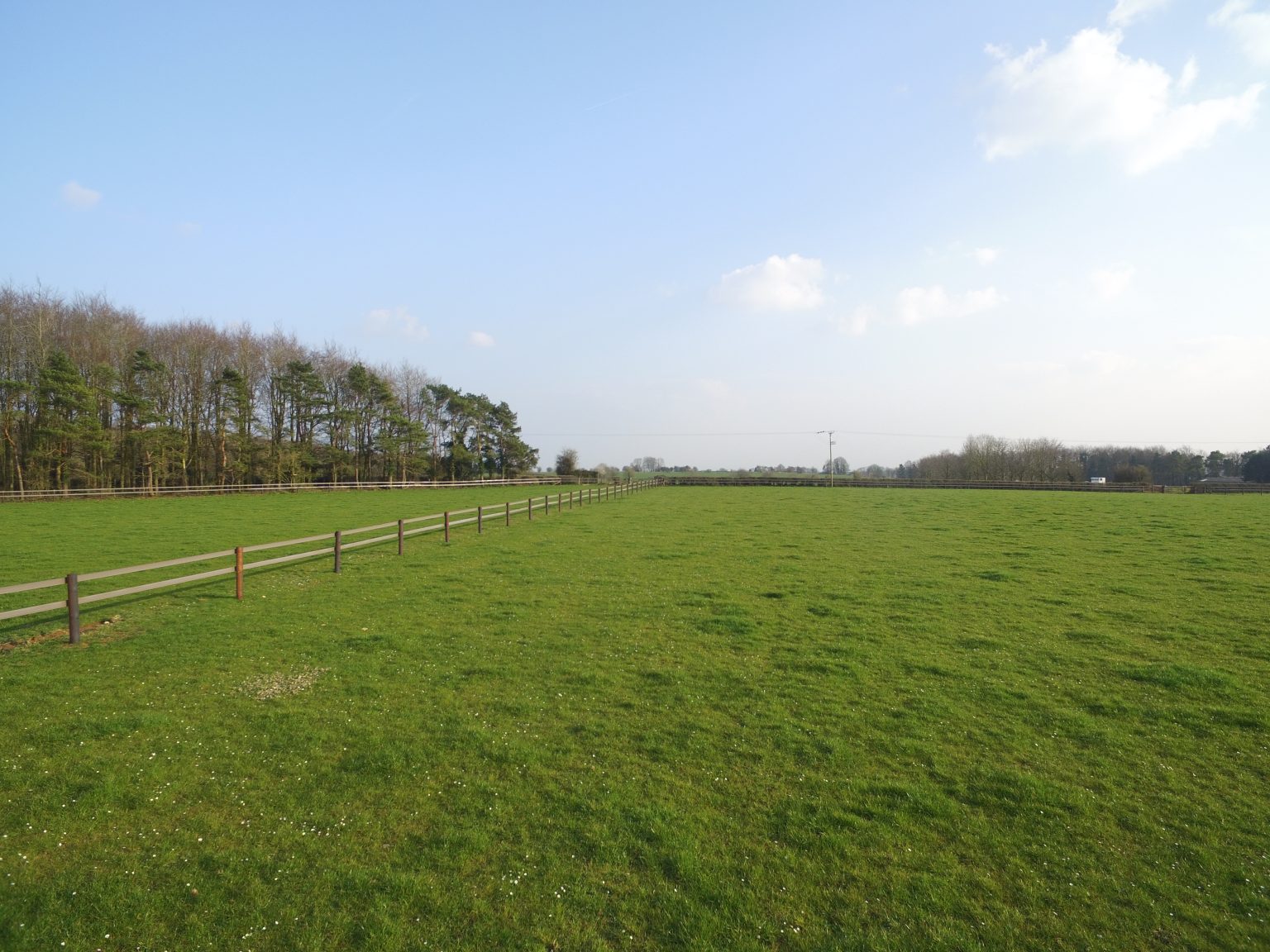Grazing Livery - Rectory Farm